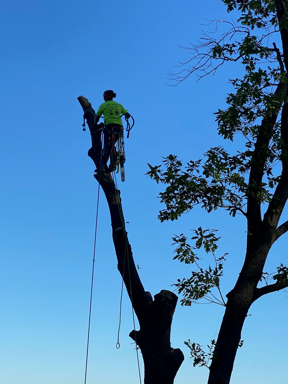 Gallery - Elite Seamless Gutters