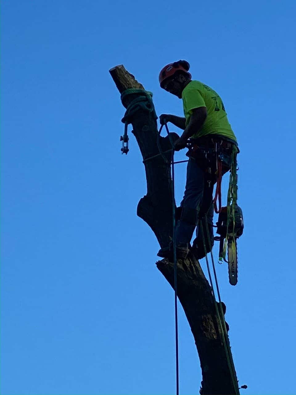 Gallery - Elite Seamless Gutters